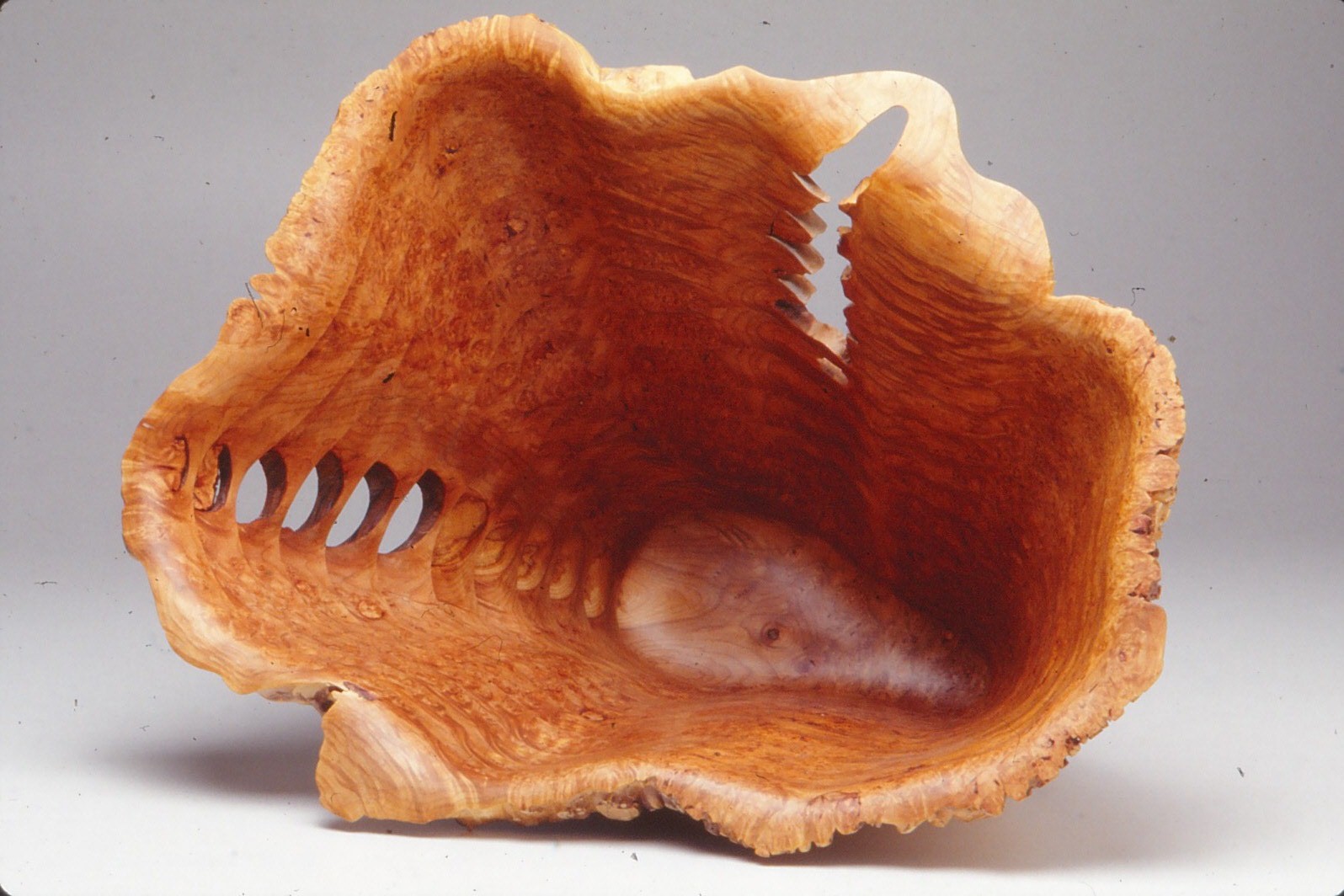 Big Leaf Maple Burl - Museum for Art in Wood