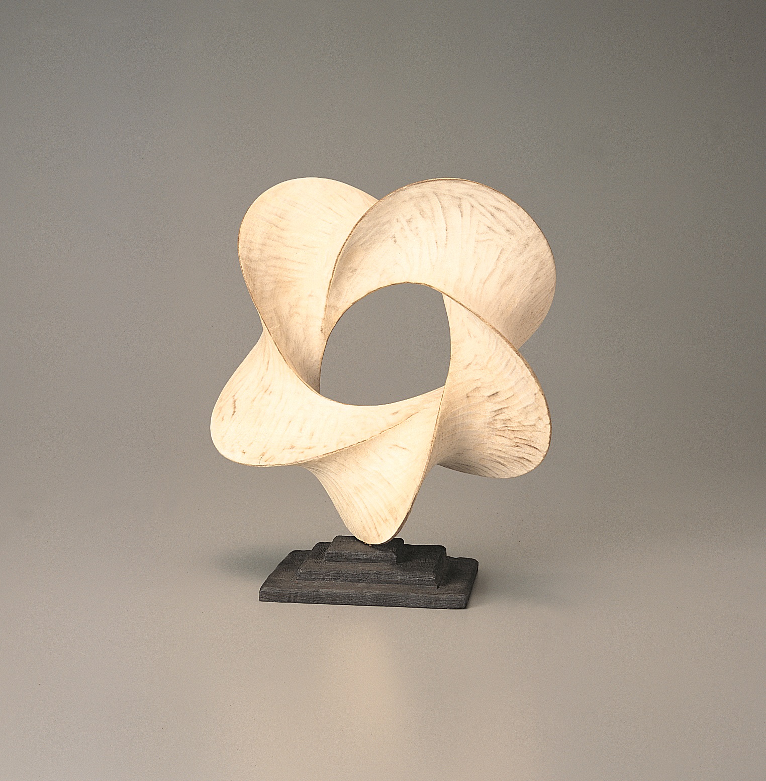 Mobius - Museum for Art in Wood