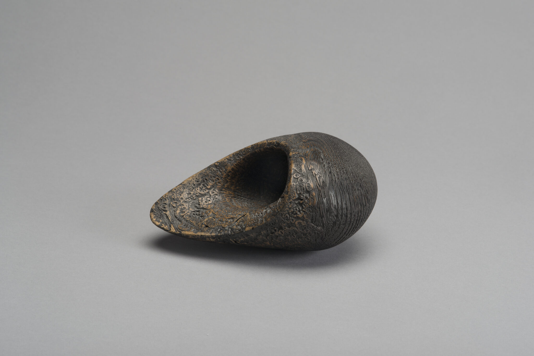 Fossil Shell - Museum for Art in Wood