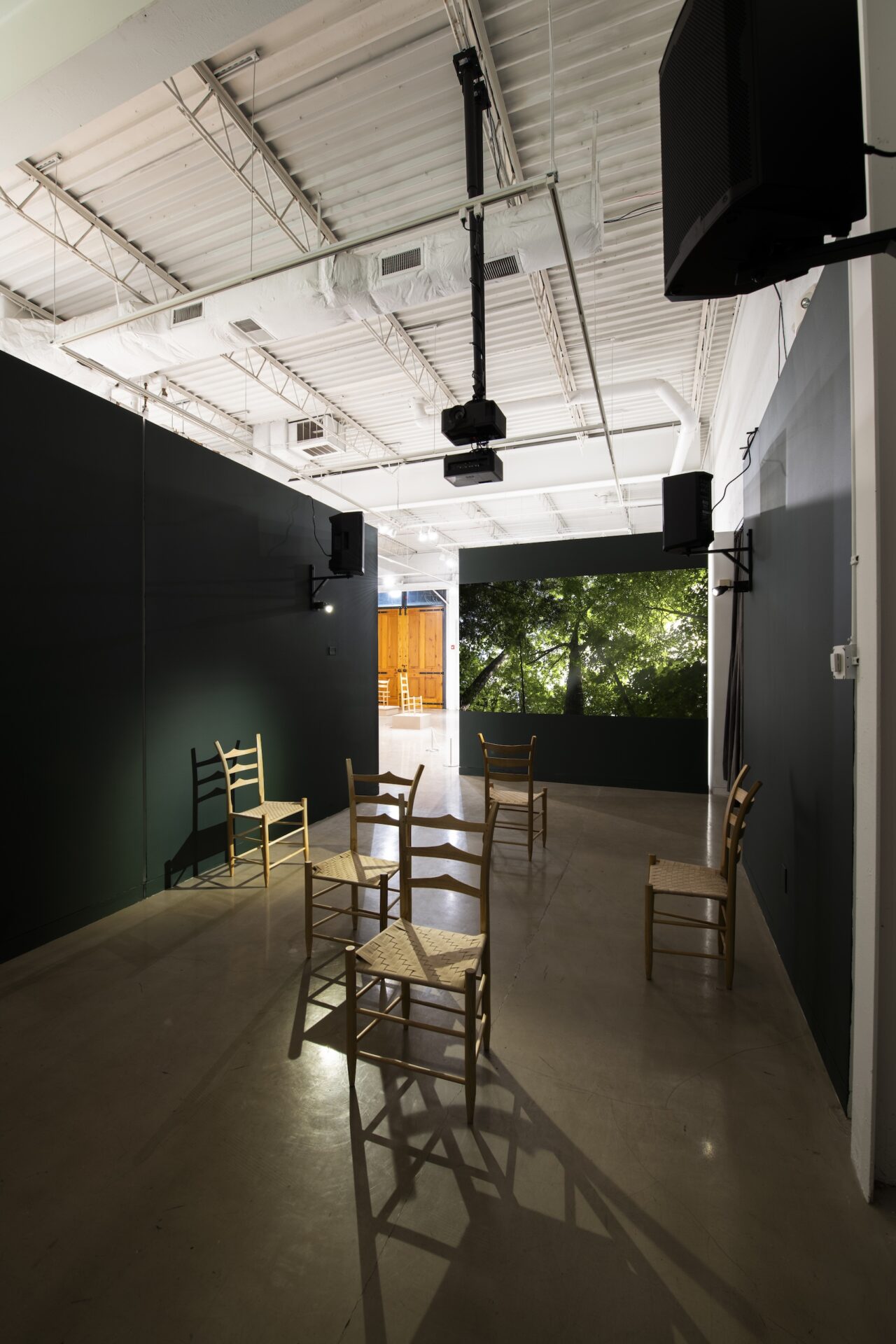 Gina Siepel: To Understand a Tree - Museum for Art in Wood