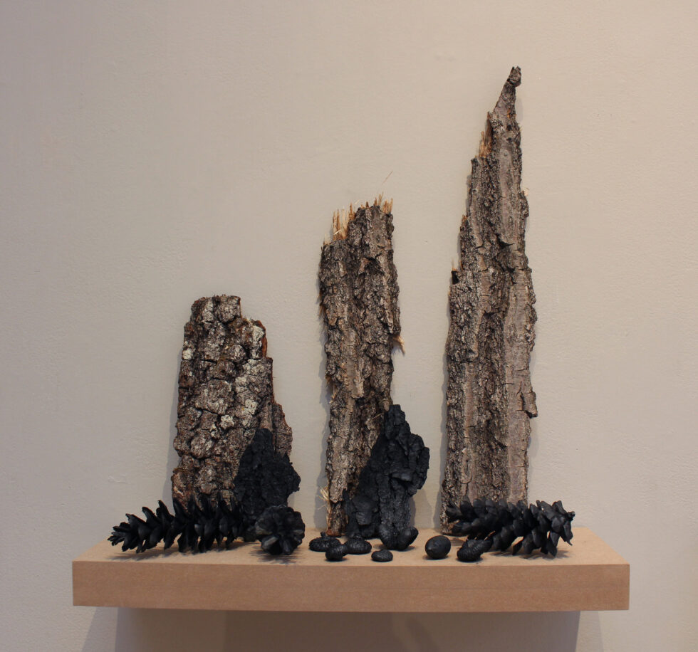 Gina Siepel: To Understand a Tree - Museum for Art in Wood